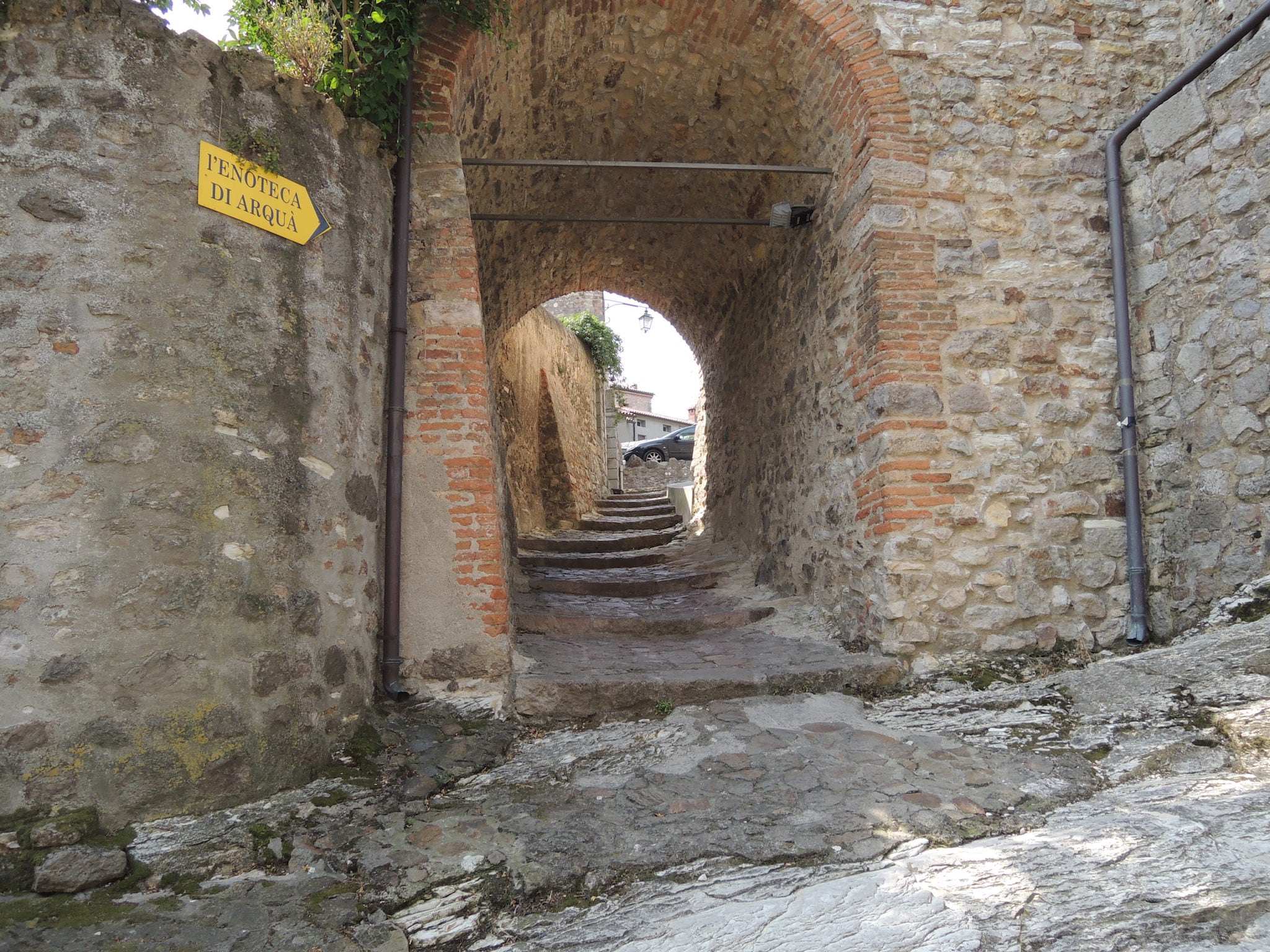 Visita ad Arquà Petrarca e all'Orto Botanico di Padova | cittaviva trieste